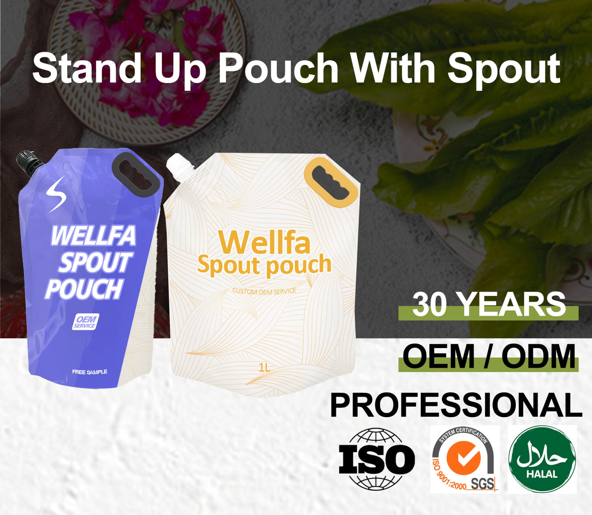 Spout Pouch - chaoshan Custom Packaging Bag Manufacturer